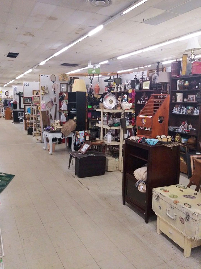 Every shelf tells a story in this carefully organized chaos, where vintage treasures and modern collectibles coexist in perfect harmony.