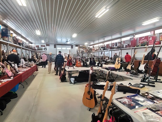 A symphony of six-strings awaits collectors. One person's forgotten guitar is another's ticket to becoming the next Springsteen.
