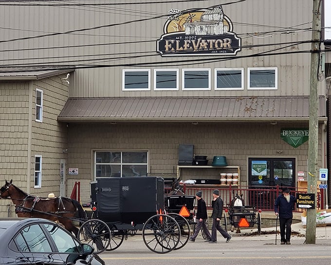 Where tradition meets the road – Amish buggies parked outside The Elevator remind us that some of life's best flavors move at a slower pace.