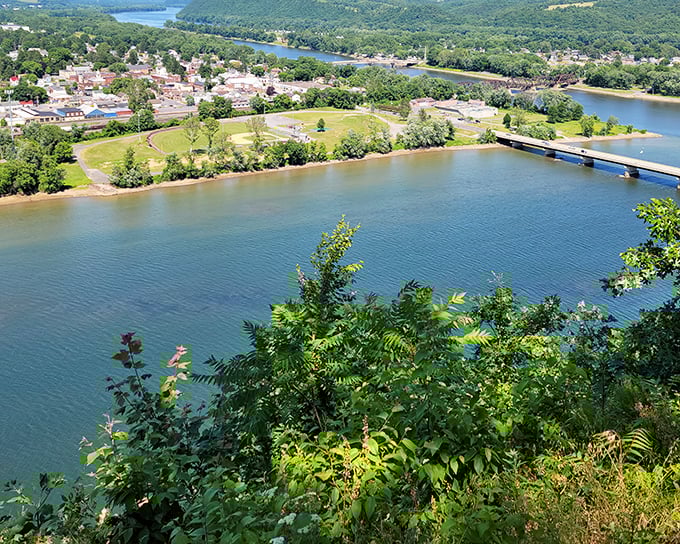 Nature's IMAX experience comes free of charge here. The rolling hills embrace the winding river like old friends catching up after a long separation.