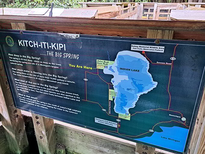 "You are here" – at one of Michigan's most spectacular natural wonders. The park map reveals Kitch-iti-kipi's location within Palms Book State Park.