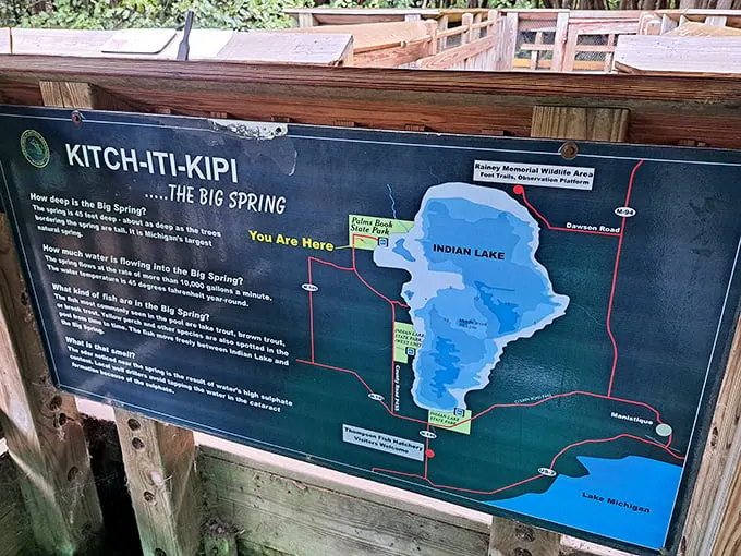 "You are here" – at one of Michigan's most spectacular natural wonders. The park map reveals Kitch-iti-kipi's location within Palms Book State Park.