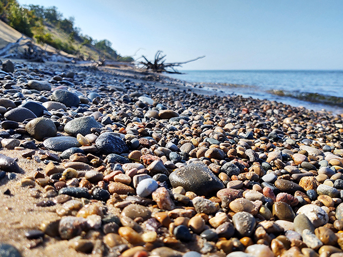 Nature's mosaic—each stone a tiny masterpiece polished by centuries of Great Lakes waves. Better than any souvenir you could buy.