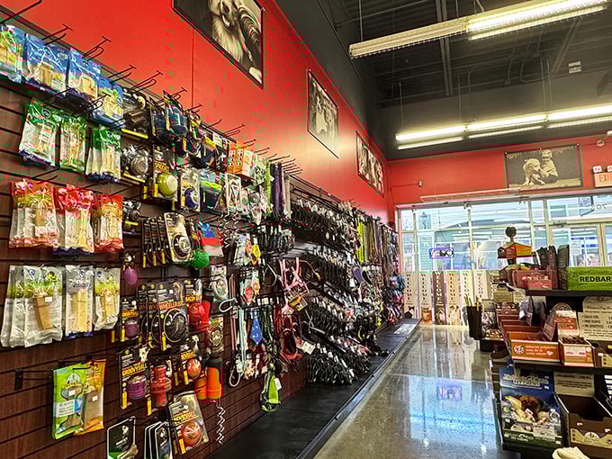 Pet lovers rejoice! This treasure trove of leashes, toys, and treats ensures your four-legged friends don't miss out on the shopping spree excitement.