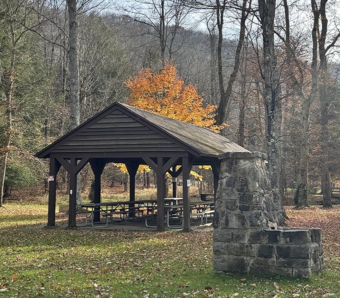 This isn't just any picnic shelter – it's a time machine to simpler days, complete with stone fireplace for those "I forgot the matches" moments.