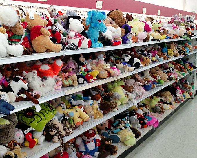 The stuffed animal section: where forgotten teddy bears find new homes and adults pretend they're shopping "for the kids." 
