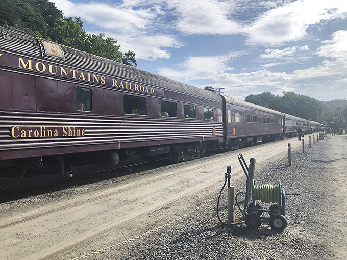 The tracks stretch ahead like a ribbon of possibility through North Carolina's mountain paradise.