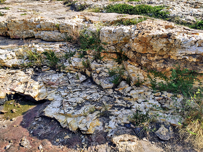 The ancient chert ledges tell geological stories spanning millennia. Each layer is like a page in Earth's autobiography.