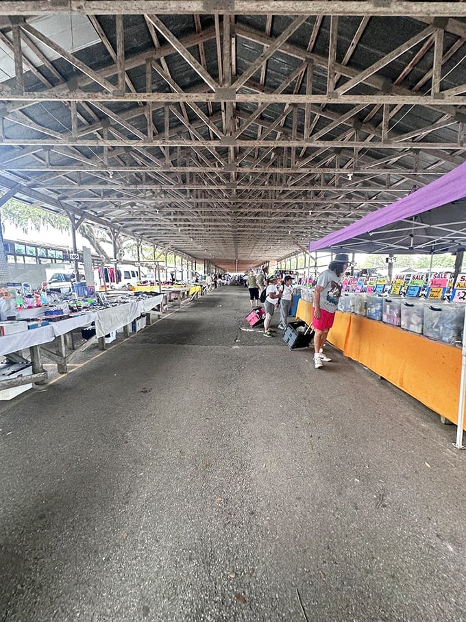 Beneath wooden rafters stretching toward infinity, vendors and shoppers engage in the ancient dance of commerce and conversation.