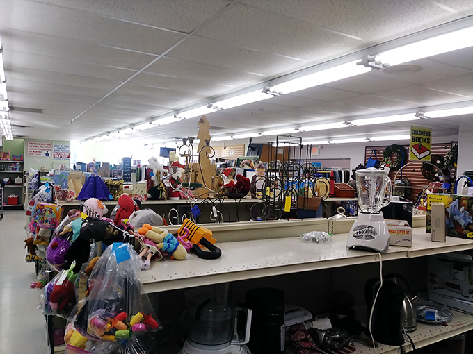 One shopper's discarded blender is another's kitchen salvation. This hodgepodge of household items and toys represents the beautiful chaos of thrift store possibility.