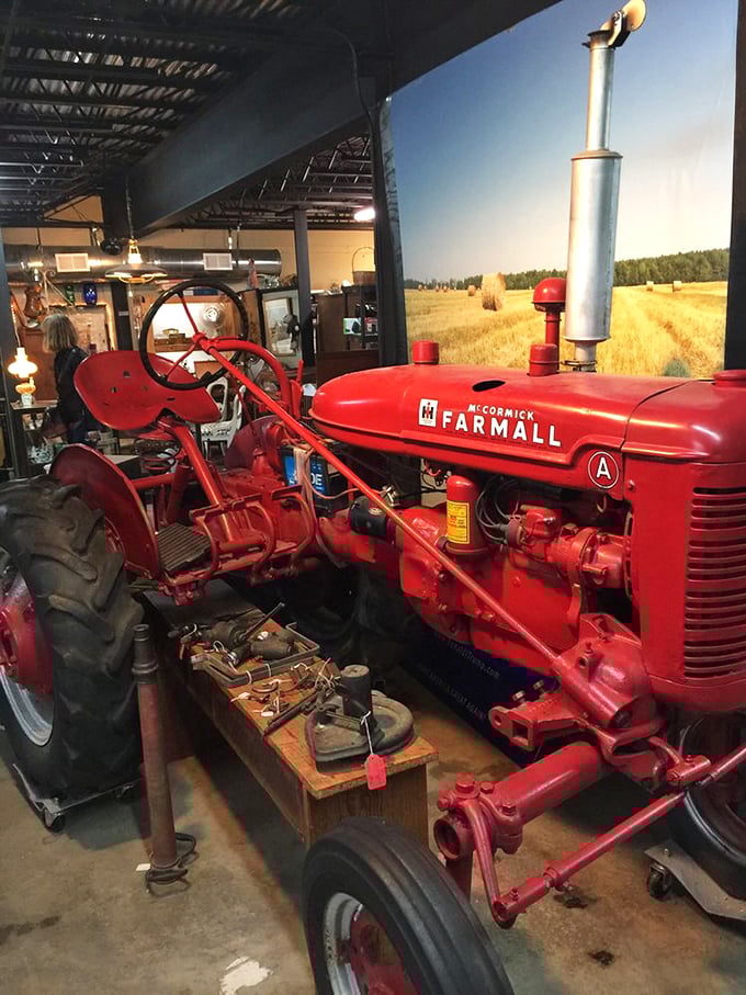 That gleaming Farmall tractor isn't just farm equipment—it's agricultural royalty. Even city slickers feel an inexplicable urge to plow something when they see it.