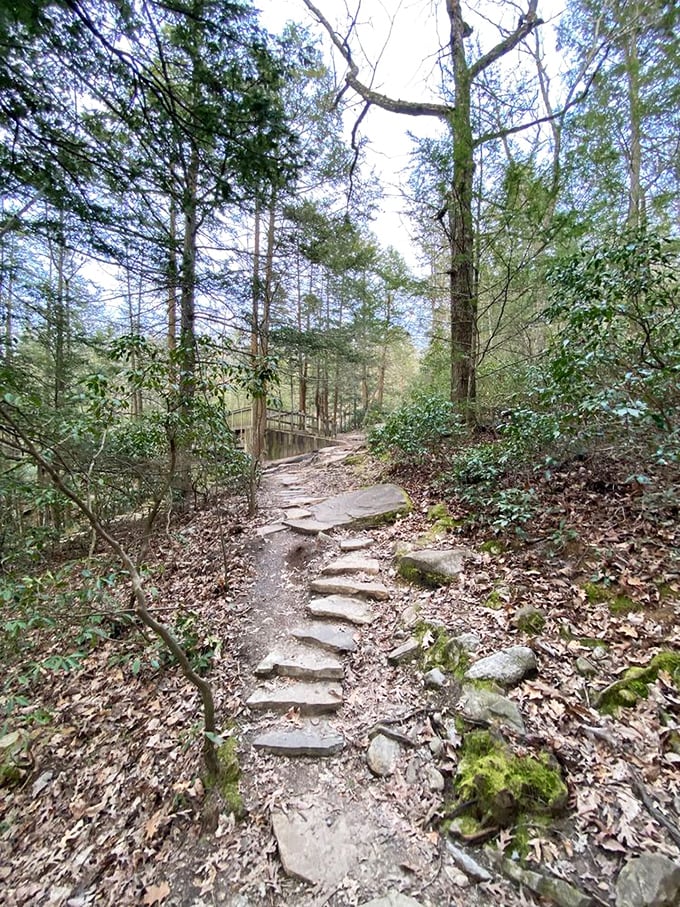 Follow these stone steps into Pennsylvania's version of Narnia—just watch your footing after a rainstorm!