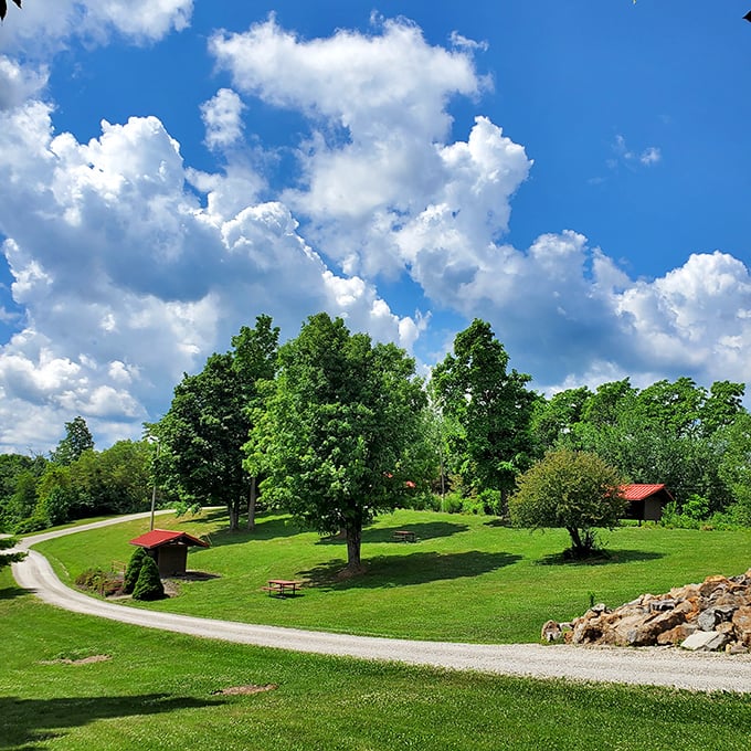 The reclaimed parkland surrounding the bucket offers a peaceful contrast to its industrial might, nature's gentle reclamation of what was once a mining landscape.