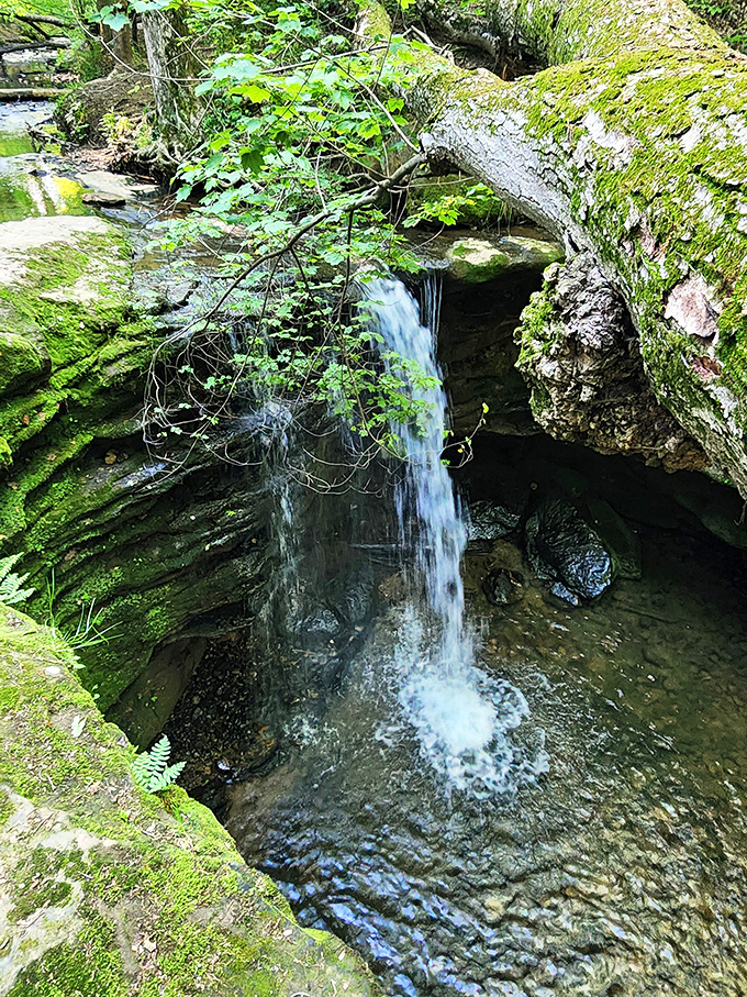 The view from above reveals nature's artistry – a perfect ribbon of water slicing through layered rock that tells Ohio's geological story. 