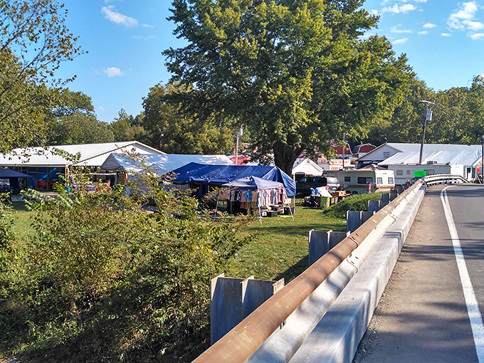 A village of vendors appears like a mirage alongside the highway, proving that retail therapy doesn't require a mall—just an adventurous spirit and comfortable shoes.