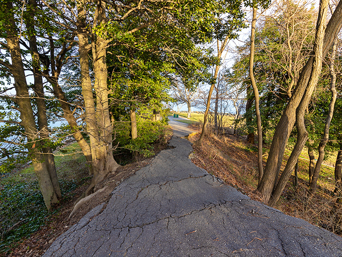 Winding paths lead to unexpected waterfront vistas, like life's best surprises hiding just around the corner.