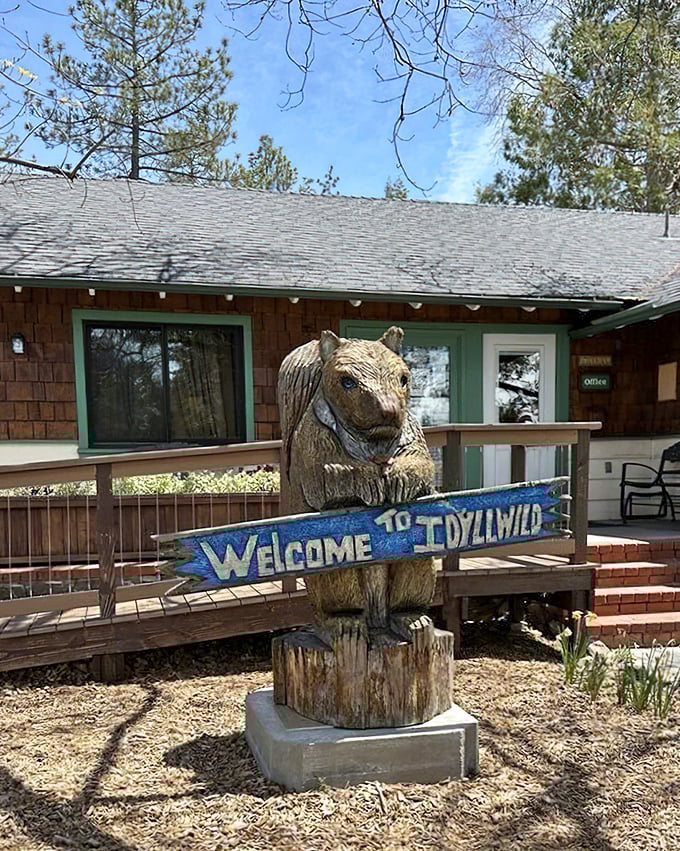 This wooden bear greeter has the best job in town – standing in sunshine all day while holding the most honest welcome sign in California.