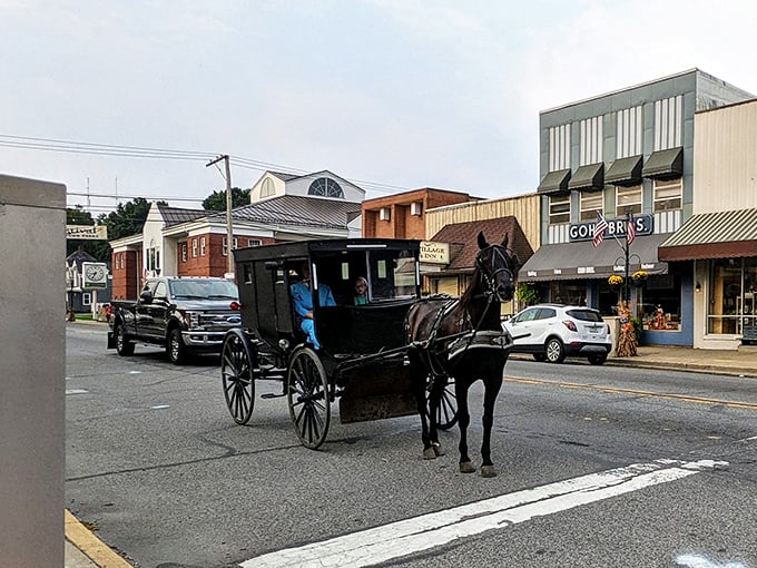 Middlebury's main street offers that perfect blend of yesterday and today—where buggies and boutiques create an unexpected harmony.