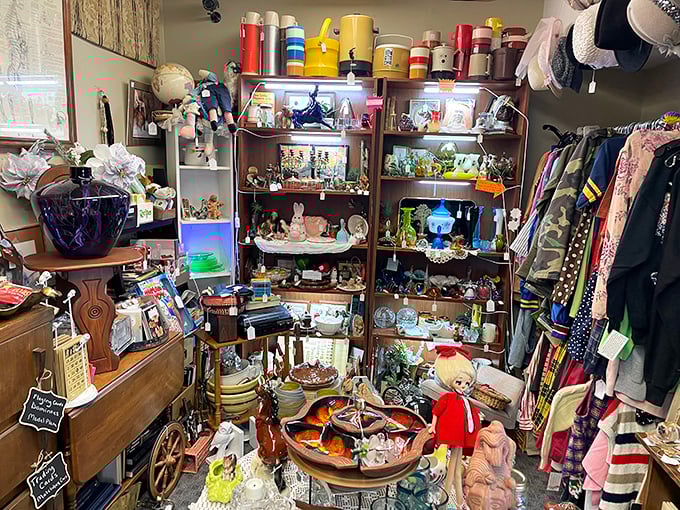 Every shelf at Aunt Margaret's tells a different story—from vintage toys to kitchen gadgets that grandmother would recognize instantly.