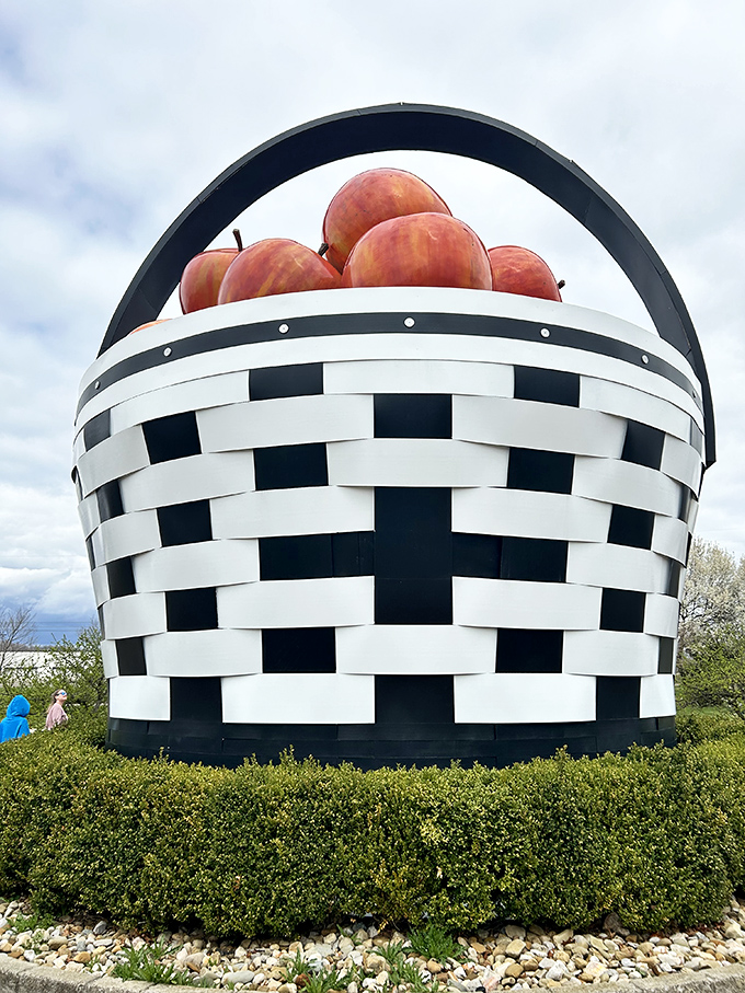 The checkered pattern says picnic, but the size says Paul Bunyan's lunch break. Simply a-peel-ing! 