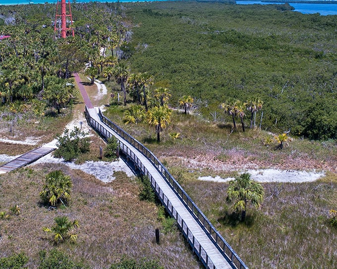 Nature's boardwalk leads visitors through a verdant wilderness. The only traffic jam here involves herons deciding who gets the best fishing spot.