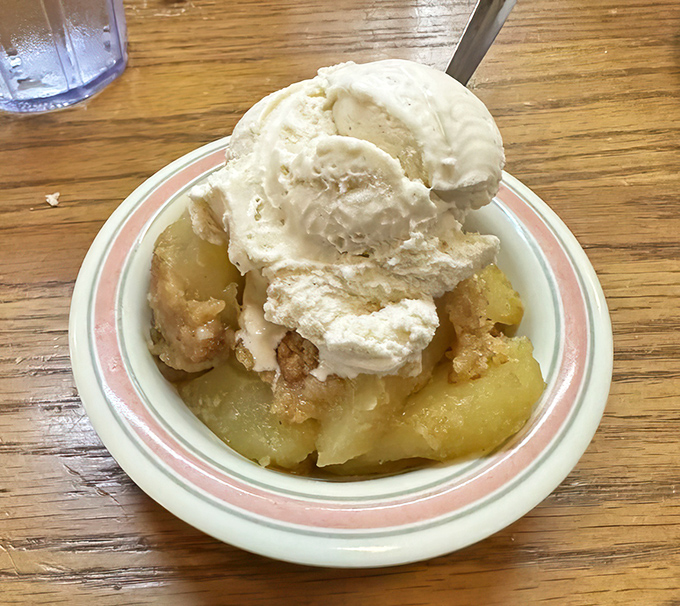Warm apple dessert crowned with melting vanilla ice cream—the kind of simple pleasure that makes you momentarily forget about your cholesterol numbers.