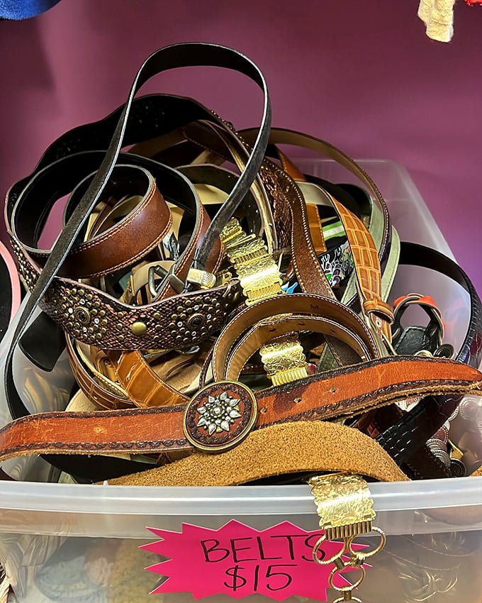 Leather, studs, and statement buckles galore! These aren't just belts—they're the exclamation points your outfit has been missing.
