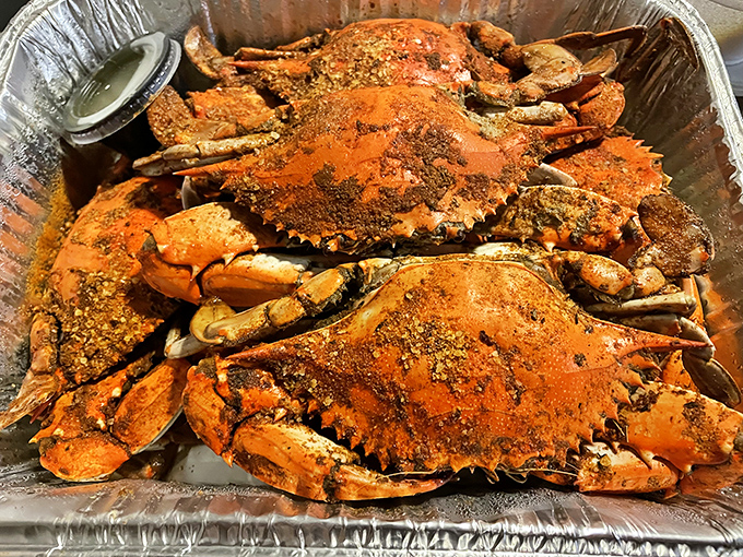These hefty, Old Bay-dusted blue crabs aren't just seafood; they're an interactive dining experience that rewards patience with sweet, succulent meat.