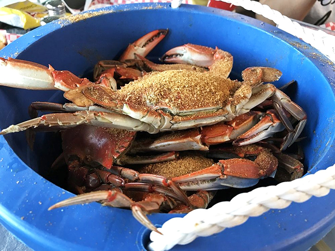 Blue crab heaven! These seasoned beauties aren't just food—they're an interactive experience that rewards patience with sweet, succulent meat.