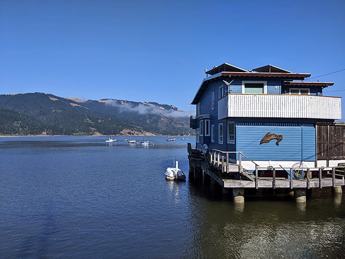 Where the water meets whimsy – a blue house with a dolphin mural perfectly captures Bolinas' laid-back maritime spirit.