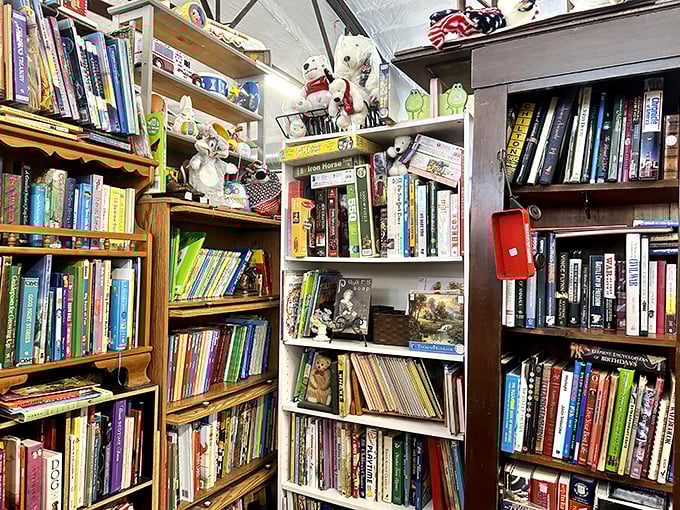 Bookworms, prepare to lose track of time! These shelves hold stories within stories—both in their pages and in the journey each volume took to arrive here.