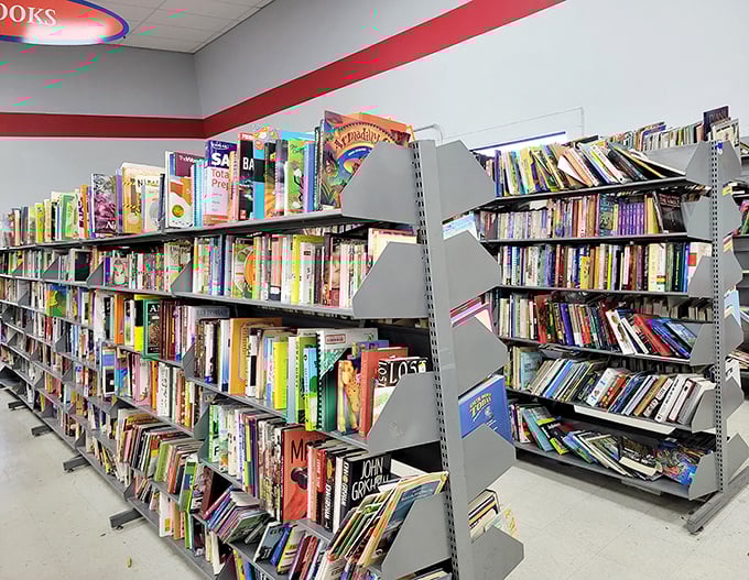 The book section: where literary classics mingle with forgotten bestsellers, creating the world's most democratic library.