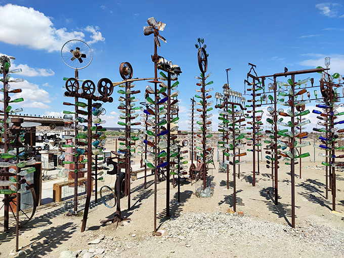 Glass forests don't grow naturally in the desert—unless you're in Oro Grande. These bottle trees catch sunlight better than solar panels catch energy.