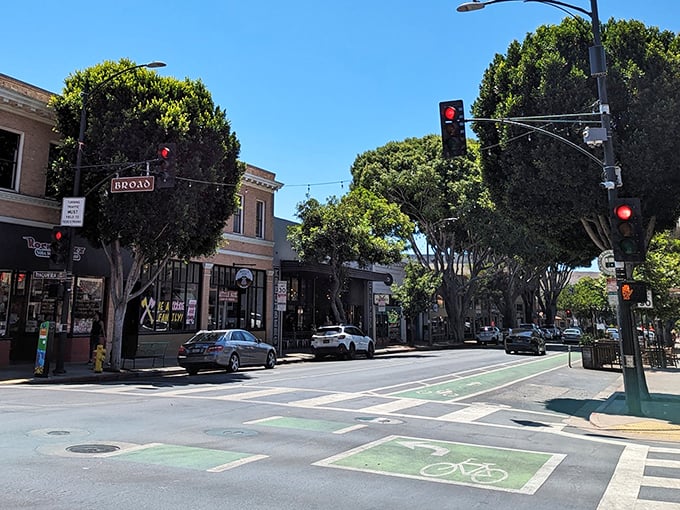 Downtown's tree-lined streets invite leisurely strolls where every corner promises delightful discoveries ahead.