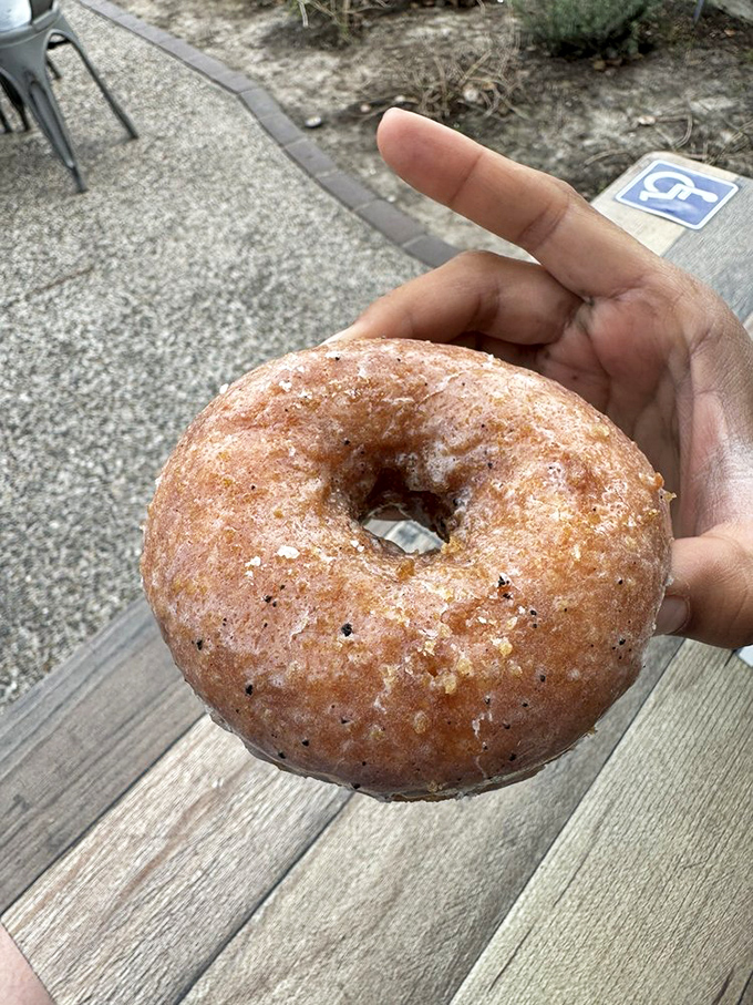 The Brown Butter Sea Salt donut – proof that simplicity can be revolutionary. Sweet meets savory in a hand-held masterpiece that would make Proust forget his madeleine.
