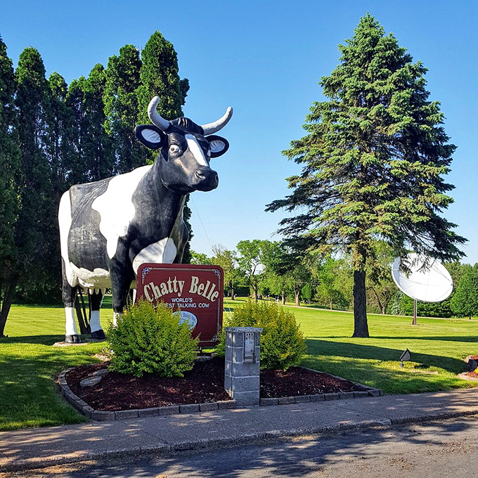 Chatty Belle's striking black and white pattern stands out against Wisconsin's blue skies, a bovine beacon calling to road-weary travelers everywhere.
