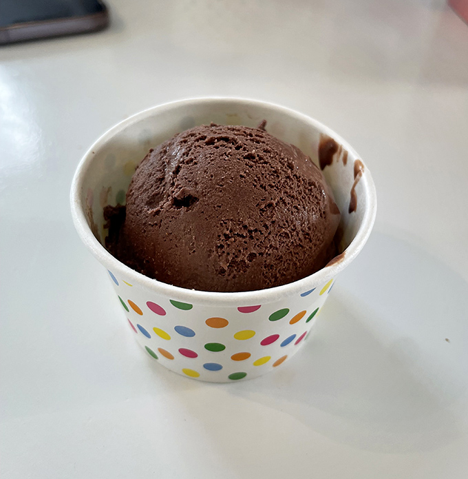 Chocolate so rich it should have its own tax bracket. This velvety scoop demands to be savored slowly, one spoonful at a time.
