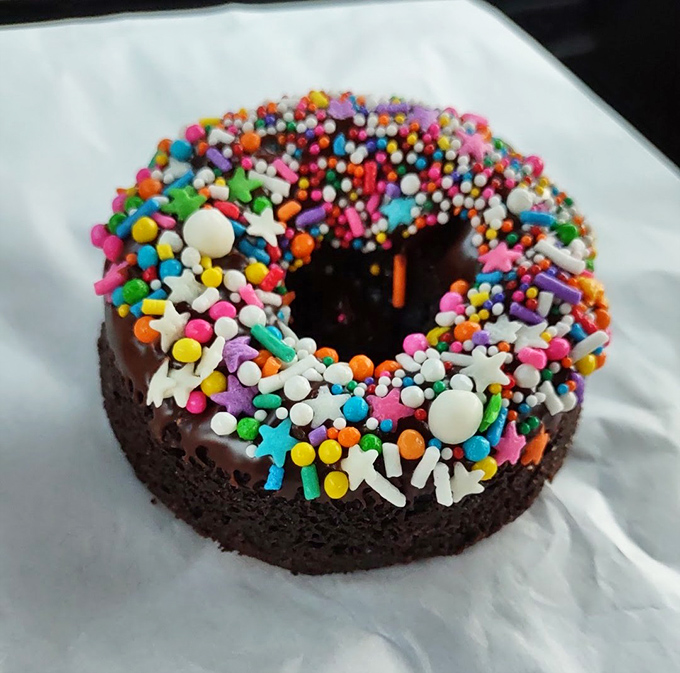 Chocolate cake donut with rainbow sprinkles – childhood nostalgia and adult sophistication having a delicious party together.