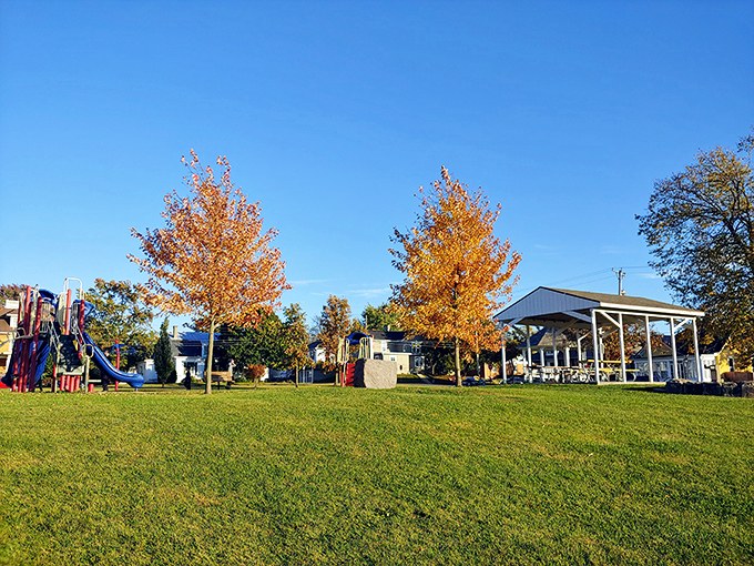 This park doesn't need fancy gimmicks—just trees showing off their autumn wardrobe, playground equipment, and space for the timeless entertainment of watching kids tire themselves out.