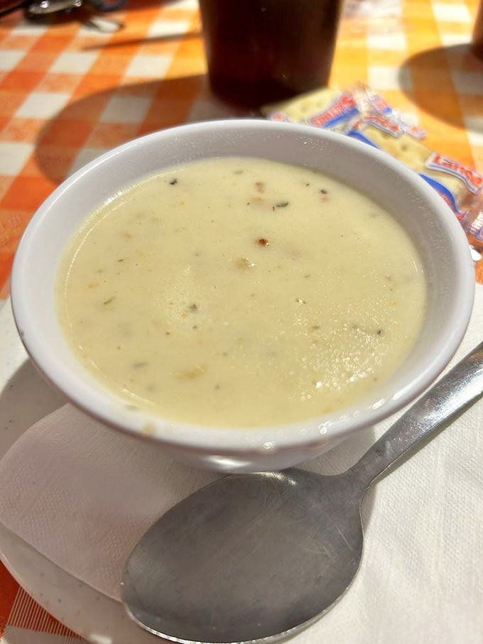 Behold the star of the show! This creamy bowl of heaven contains more treasures than the Spanish galleons that once sailed Florida's coast.