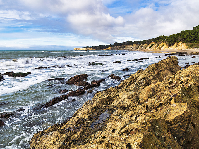 Rugged cliffs meet restless ocean along Mendocino's dramatic shoreline. Mother Nature showing off her architectural portfolio in spectacular fashion.
