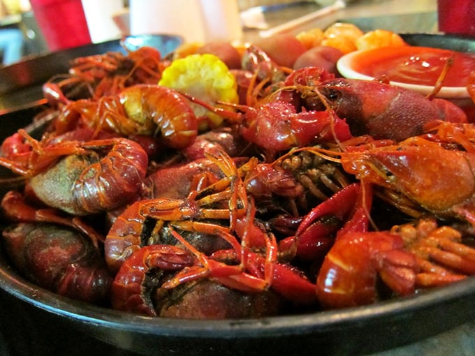 Behold the crimson treasure that transforms civilized diners into happy, messy shell-cracking enthusiasts within minutes of arrival.