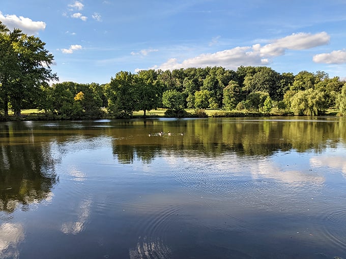 Mirror, mirror on the pond... Bellevue's serene waters reflect the surrounding beauty, doubling the scenery in a masterpiece Mother Nature clearly signed twice.