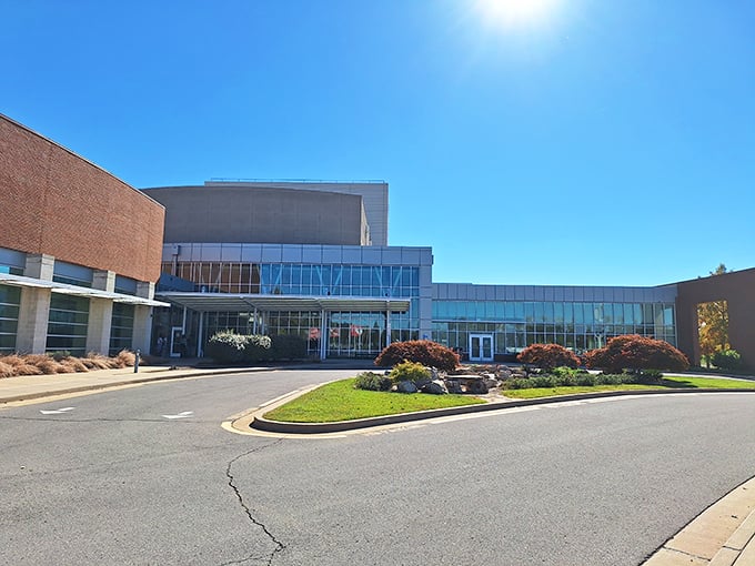 The River Campus shines as Cape Girardeau's cultural crown jewel, where performances and exhibitions bring metropolitan sophistication to this riverside gem.