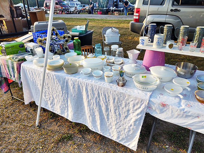 Grandma's china meets its match in this pristine display. These aren't just dishes—they're conversation pieces waiting to host your next dinner party drama.