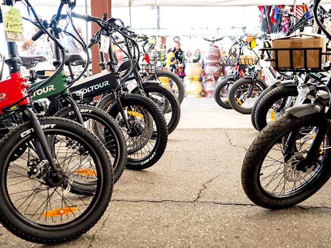 Two-wheeled freedom machines lined up like soldiers. These electric bikes promise adventure without the sweat equity of traditional cycling—desert exploration made easy!