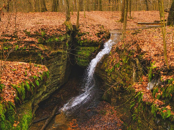Water finds a way, carving its persistent path through resistant stone. This gentle cascade creates nature's soundtrack—a peaceful melody that drowns out life's noise.