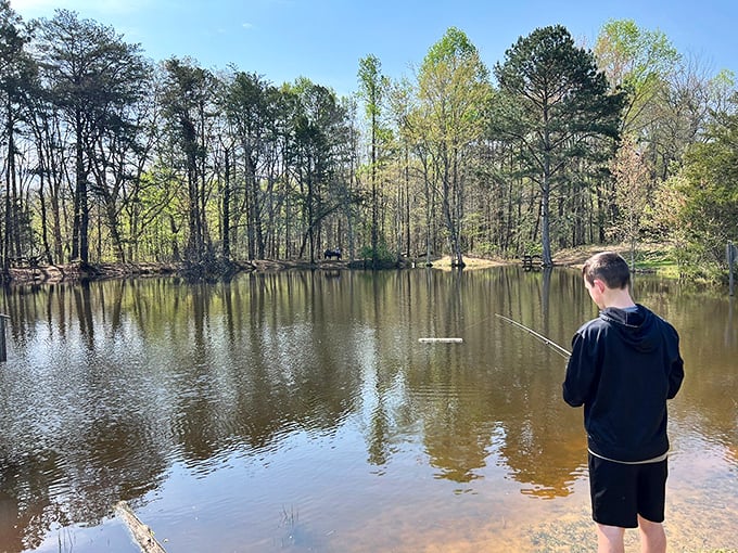 Fishing at the park's tranquil pond—where catching nothing still somehow feels more productive than answering work emails. 