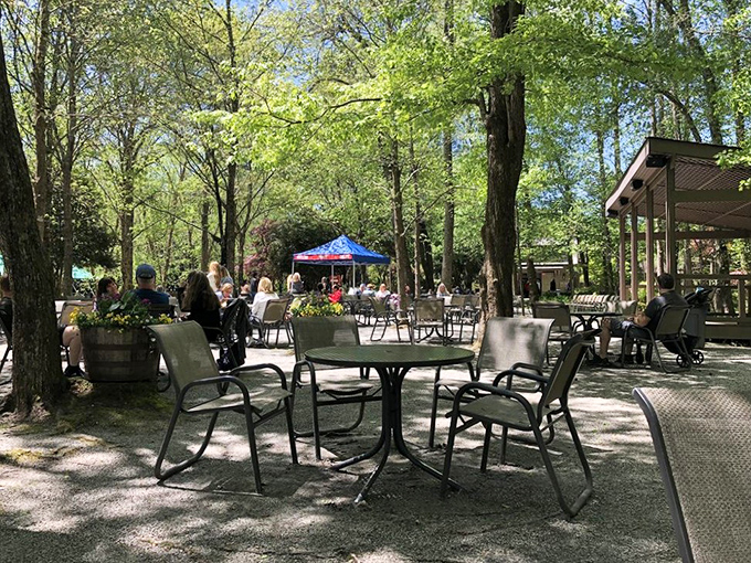 Take a breather at the garden café where shaded tables offer respite from your flower-gazing marathon. Your feet will thank you.