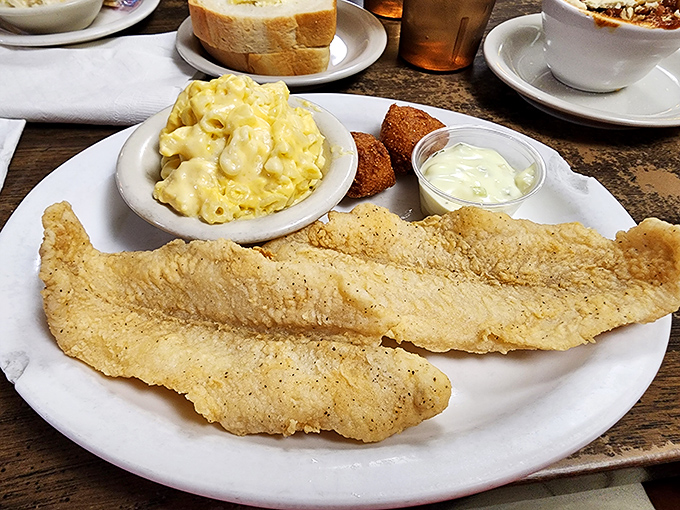 Golden-fried fish that would make Neptune himself jealous, paired with mac and cheese that's achieved that perfect creamy-to-crispy edge ratio.
